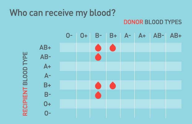 Type B Blood: B+ and B- Blood Types - Bloodworks Northwest